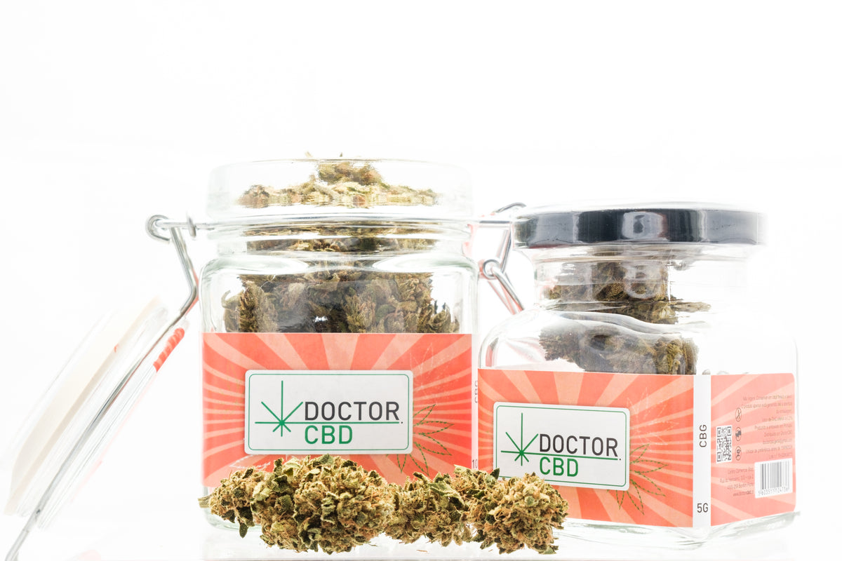 Comprar CBD Portugal | Doctor CBD Portugal O CBG, o que é? Doctor CBD Portugal – Doctor CBD ...